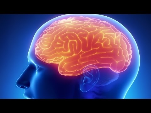 Mesial Temporal Sclerosis (MTS) | Epilepsy