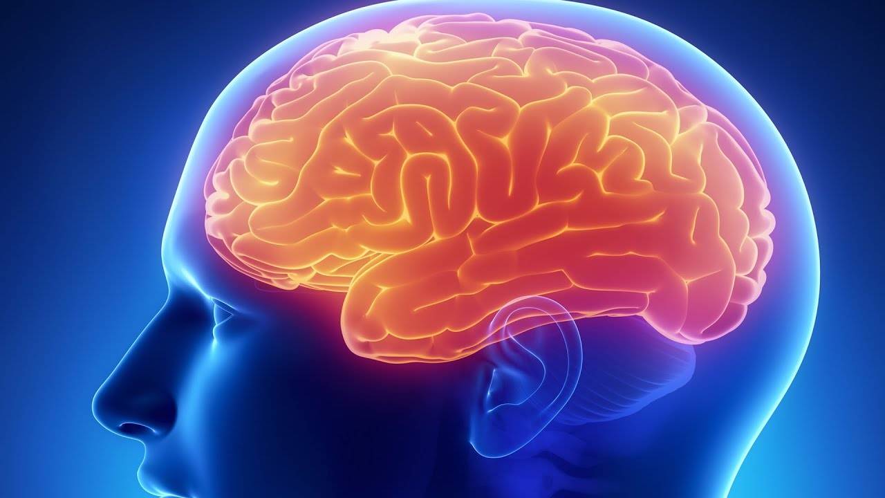 Mesial Temporal Sclerosis (MTS) | Epilepsy