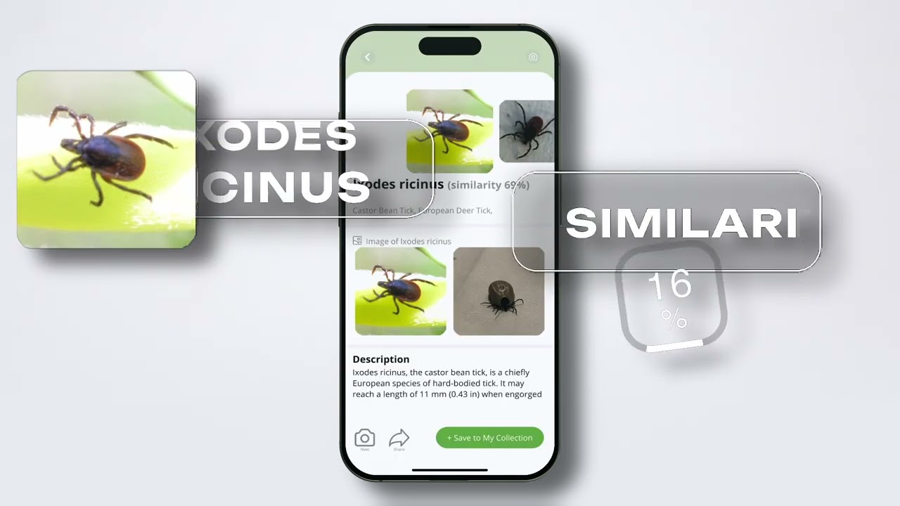 Bugs Identifier App