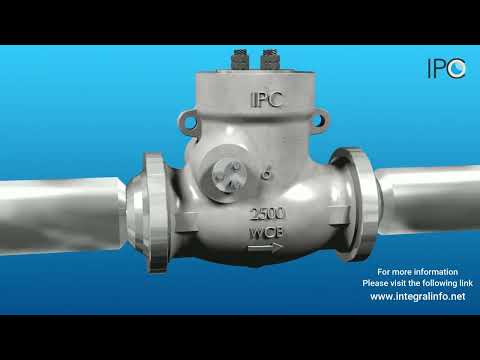 Angle Check Valve at Best Price in India