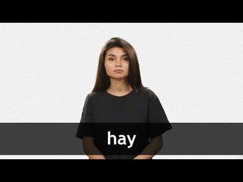 HAY - Definition & Translations | Collins English Dictionary