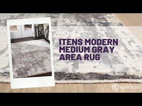 Itens Modern Medium Gray Area Rug