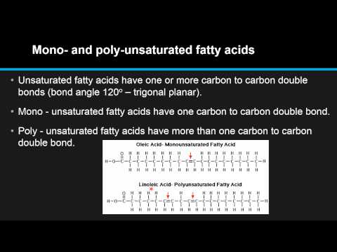 F.2.1 Describe the difference in structure between saturated and unsaturated fatty acids.