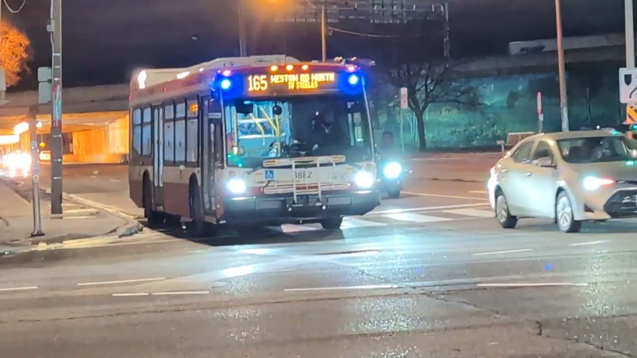 3 Nova Bus LFS siblings