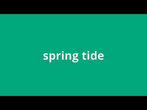 what is the meaning of spring tide