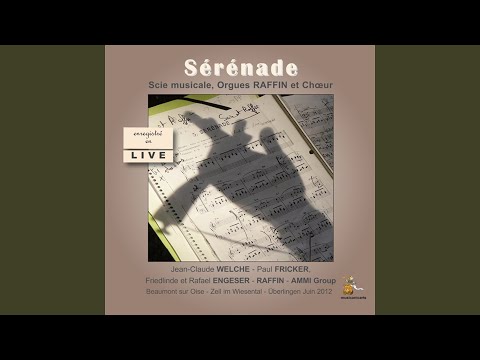 Symphony No. 9 in E-Sharp Minor, Op. 95, B. 178 "From the New World": II. Largo