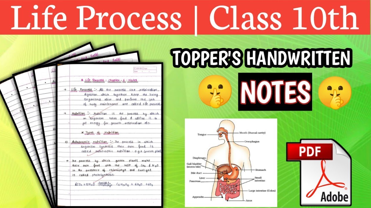 Life Process Notes Class 10th | NCERT Science Chapter 6 Biology | #Notes handwritten #handwritten |