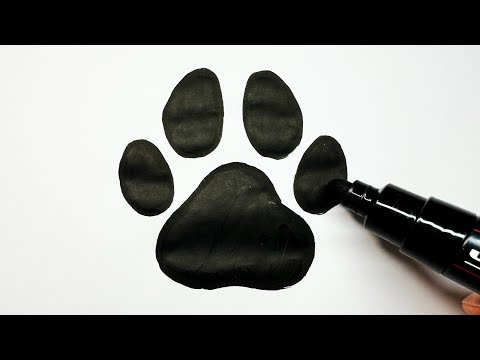 How to Draw a Dog Paw