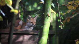 3 Best Places To Visit in Southampton, UK - Expert Recommendations