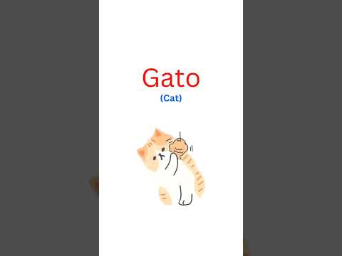 How to say cat in Spanish -gato-.