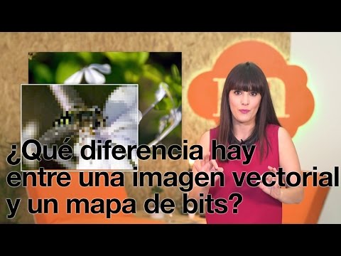 Diferencia entre imatge vectorial i mapa de bits | AEM APUNTS