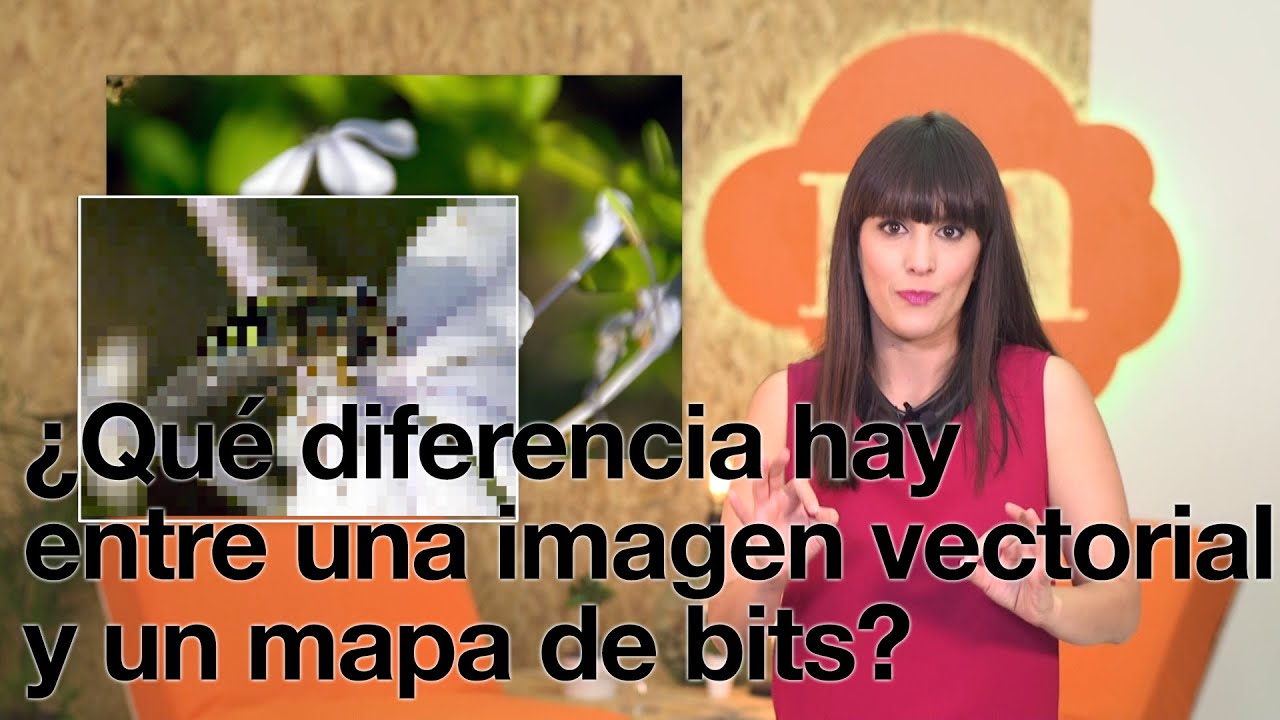 ¿Qué diferencia hay entre una imagen vectorial y un mapa de bits? { Micro Conocimiento by @Mazzima