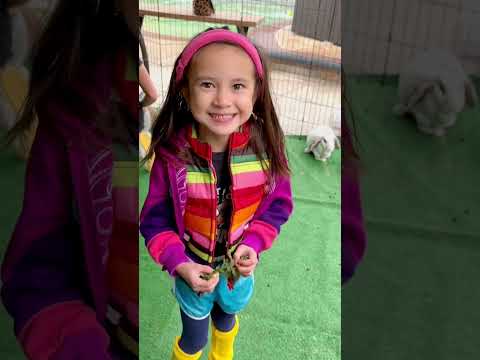 Petting Zoo at the Birthday Party #reelsfb #reelsinstagram #reelsvideo #fbreels #birthday #fun