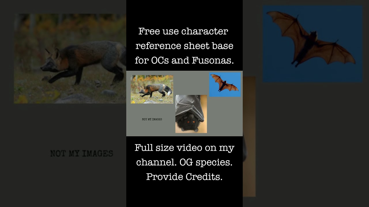 Flying fox; free reference sheets and drawing short form re upload A