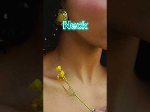 NECK IN SPANISH | Medical Consecutive Interpreting