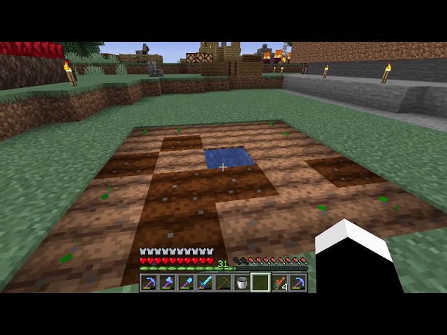 What do chickens eat in Minecraft?