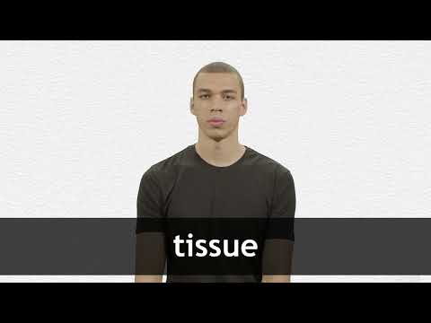 TISSUE 释义 | 柯林斯英语词典