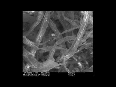 Cellulose Fibre at Best Price in India