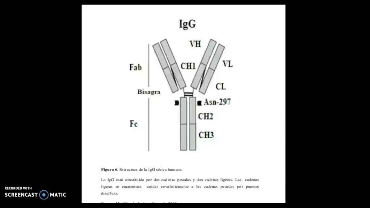 Glucosilación Proteica