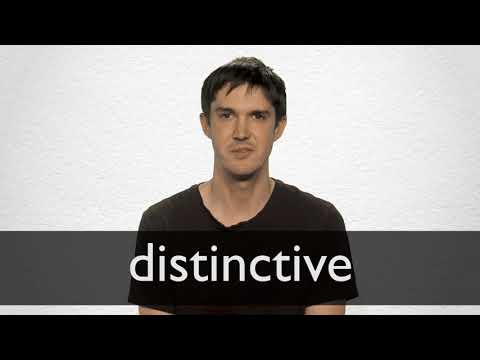 DISTINCTIVE definition in American English | Collins English Dictionary