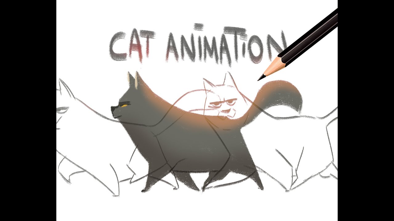 Animation | Cat Short Process