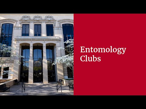 Clubs at CAES: Entomology Clubs