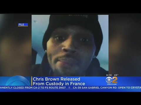 Chris Brown Released From Custody, Calls Accuser A Liar On Social Media