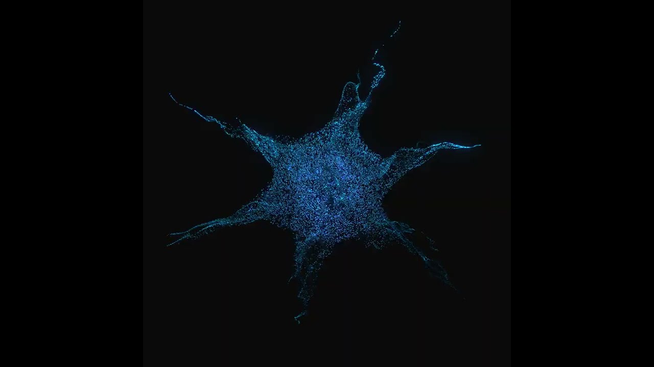 particle system | forces