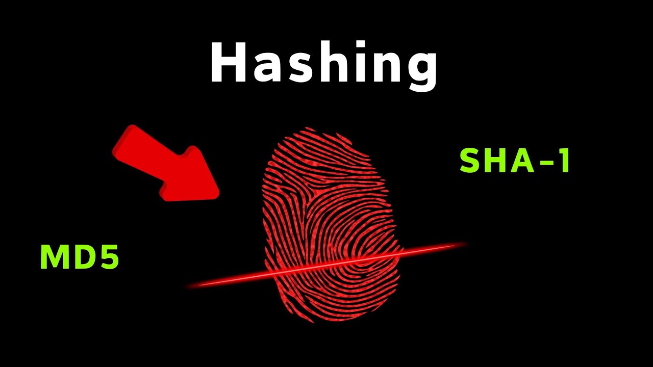 Hashing Explained (SHA-256, MD5)