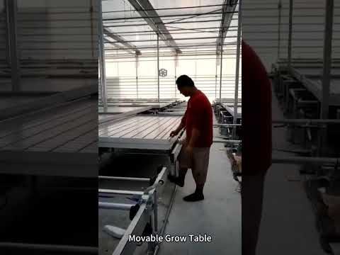 Movable Ebb and Flow Grow Table Rolling Bench