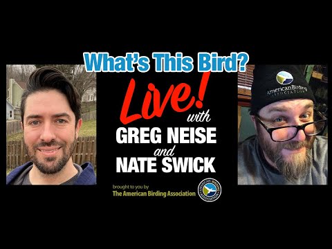 What's This Bird LIVE! July 1, 2022