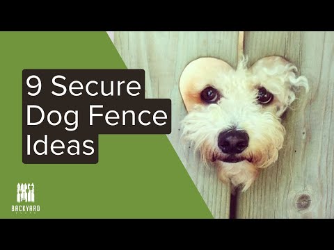 9 Dog Fence Ideas for Your Pups | Backyardscape
