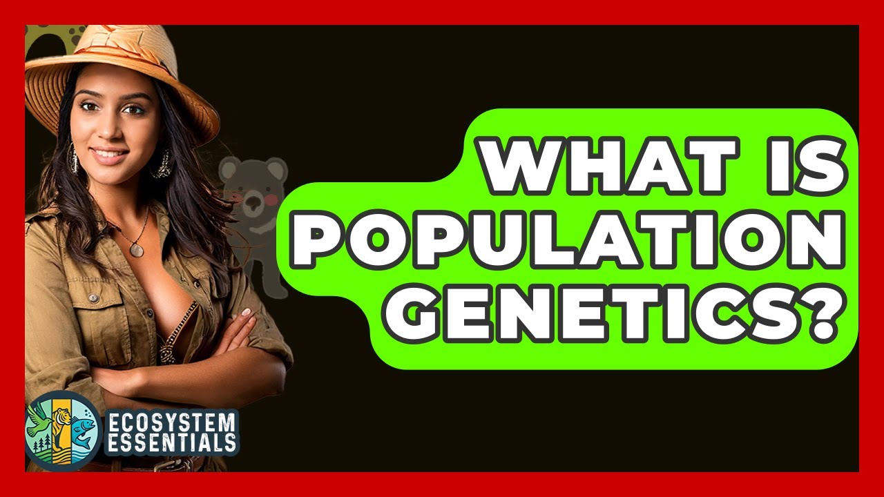 What Is Population Genetics? - Ecosystem Essentials