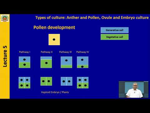 Lec 5 - ABT 301-Anther and pollen culture; ovule and embryo culture.