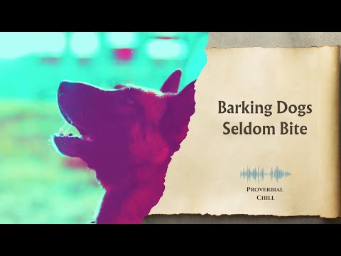 Barking Dog Seldom Bites