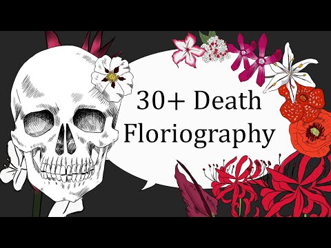 30+ Flowers that Symbolize Death | Death Floriography
