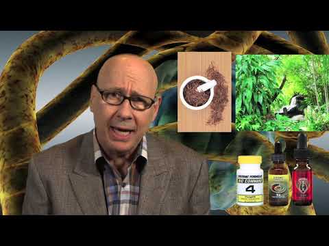FungDX - Anti Fungal by Systemic Formulas