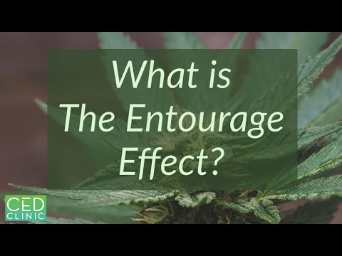 What is The Entourage Effect?