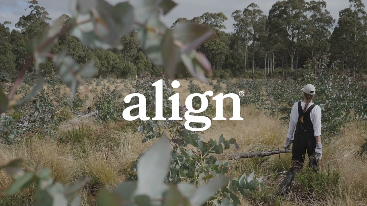 Align Introduction