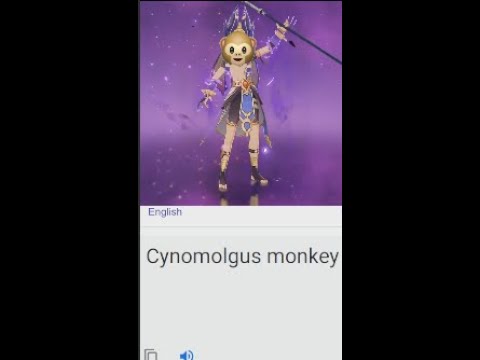 Genshin Names vs. Google Translate #shorts