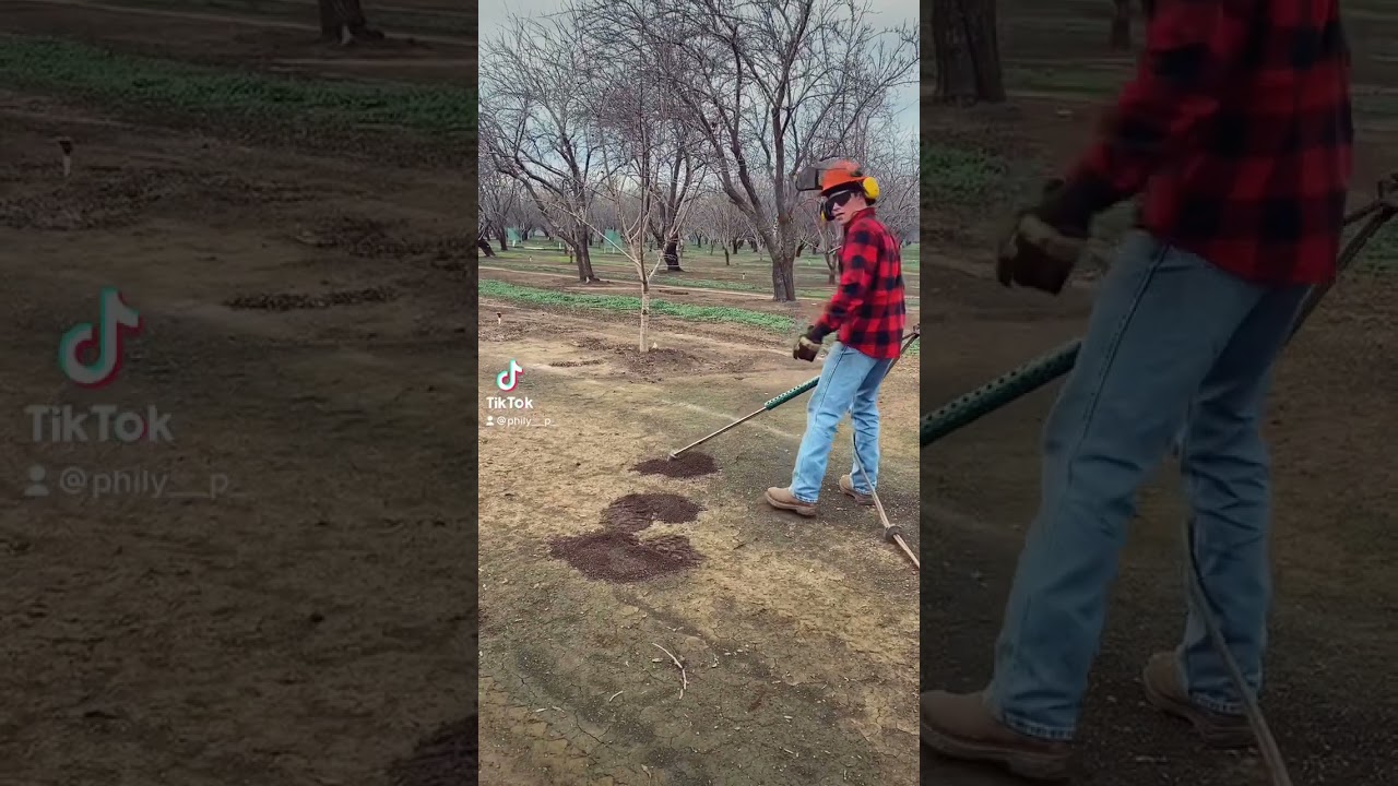 Step by step gopher destruction