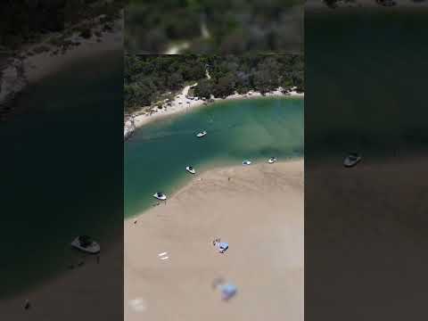 Doggy Beach, Noosa Heads