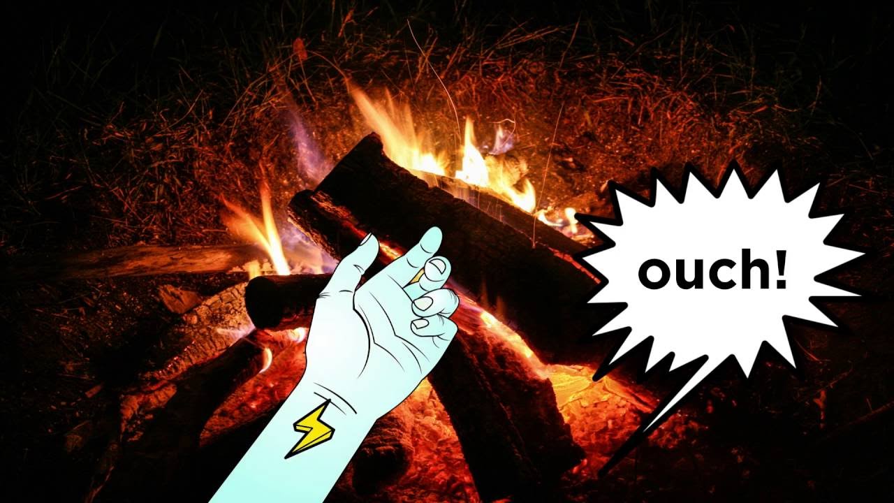 Cell Communication: Hormones and Neurotransmitters