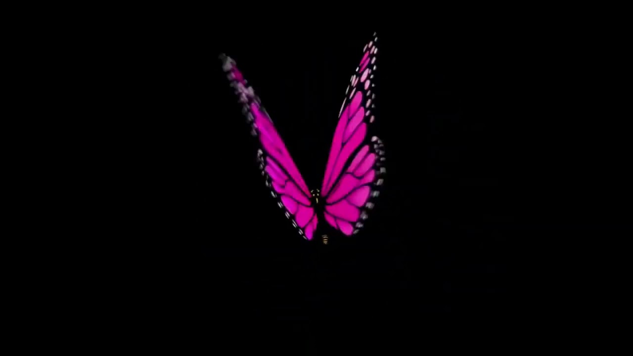 Video Exemplo projetor Holográfico Holograma Butterfly3D Circle