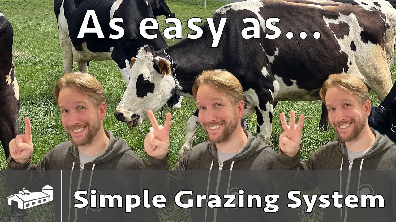 Beginner-Friendly Guide to Rotational Grazing