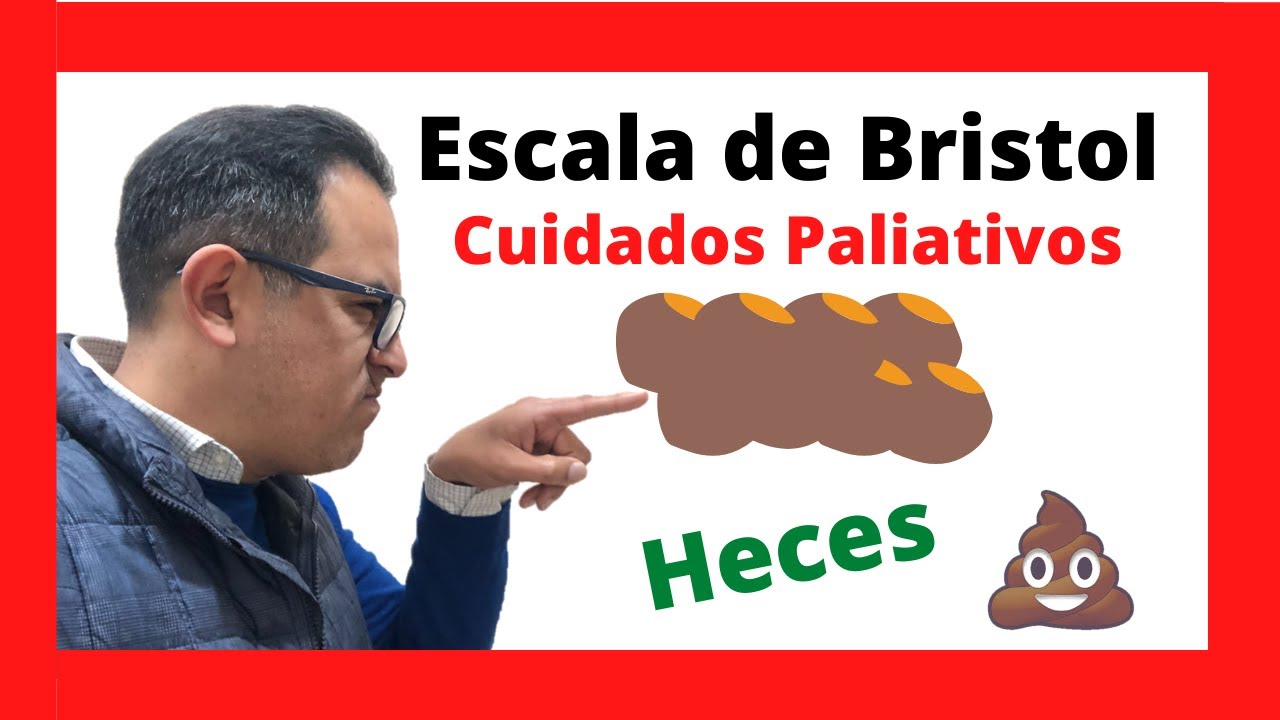 Escala de Bristol