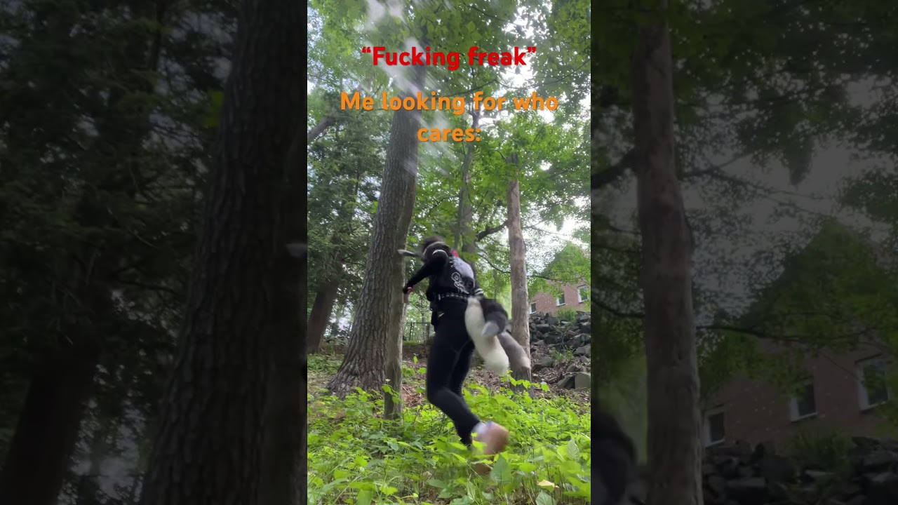 Me looking for who cares #theriangear #funny #therian #quadrobists #lgbtqia #furry #weirdkid #fyp