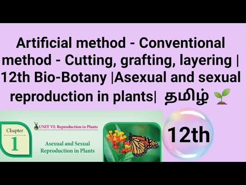 Artificial method - Conventional method - Cutting, grafting, layering | 12th Bio-Botany| தமிழ் 🌱