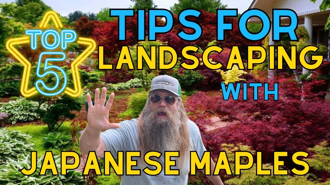 Top 5 Tips For Landscaping With Japanese Maples | DIY Garden Design | MrMaple
