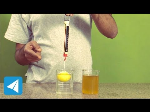 Buoyant forces in different fluids | Matter |Physics